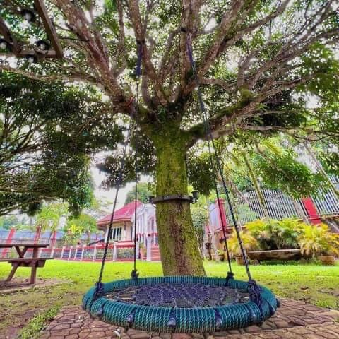 Buck Estate Alfonso Cavite For Sale Rustic Mediterranean Mansion ...