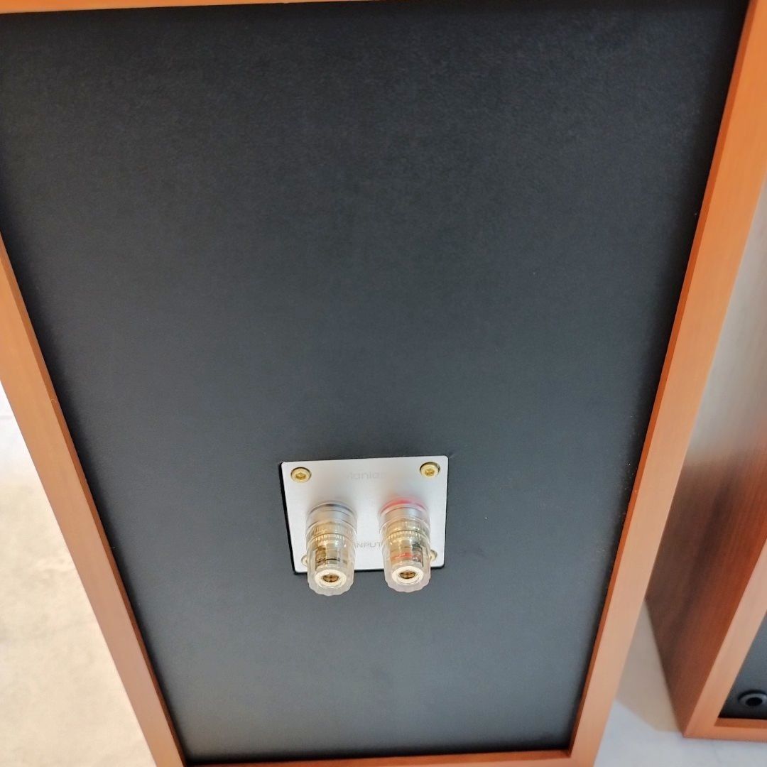 Full Range (LiiSong AL-4) Bookshelf Speaker, Audio, Soundbars, Speakers ...