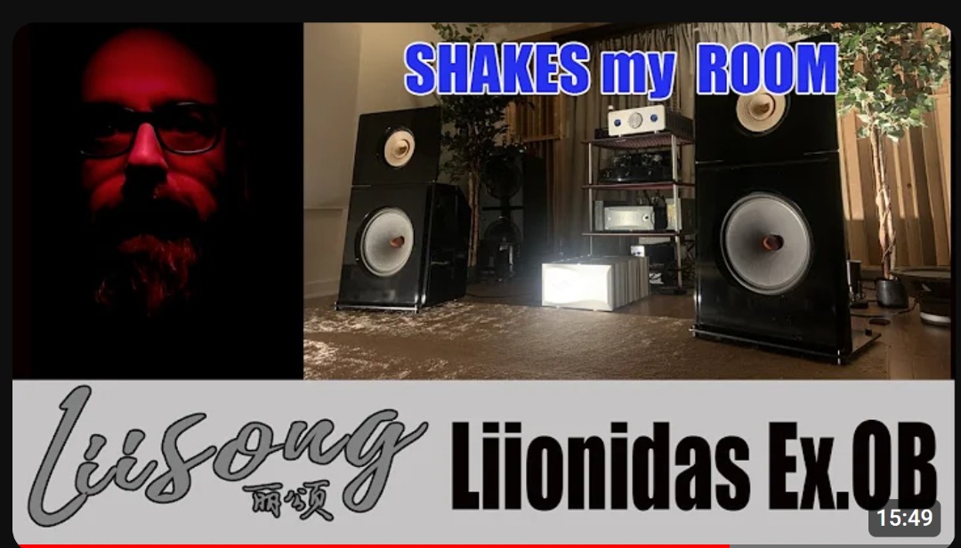 LiiSong Liionidas Extreme Open Baffle Speakers (Silver-10 and W-15 ...