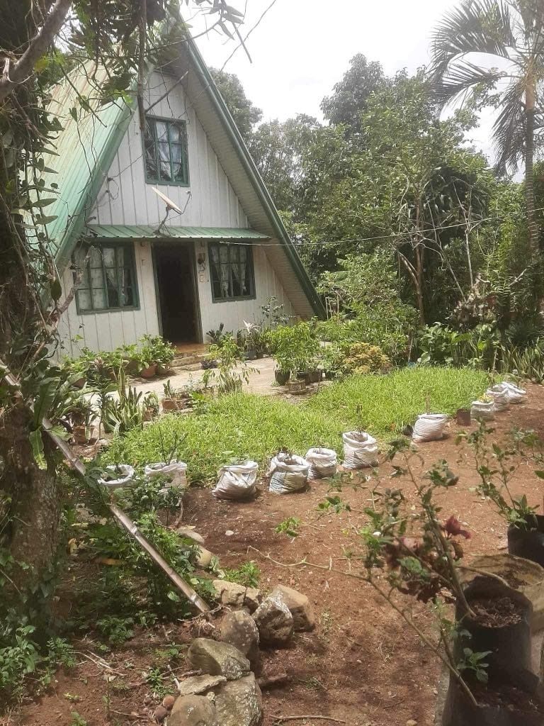 2.6 Hectares Commercial lot, Property, For Sale, Lot on Carousell