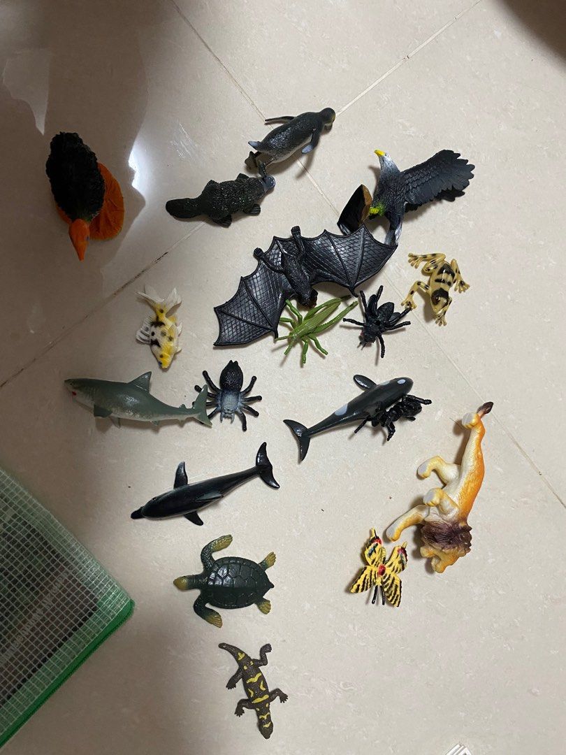 Animal classification primary 3 p3 science , Hobbies & Toys, Toys ...