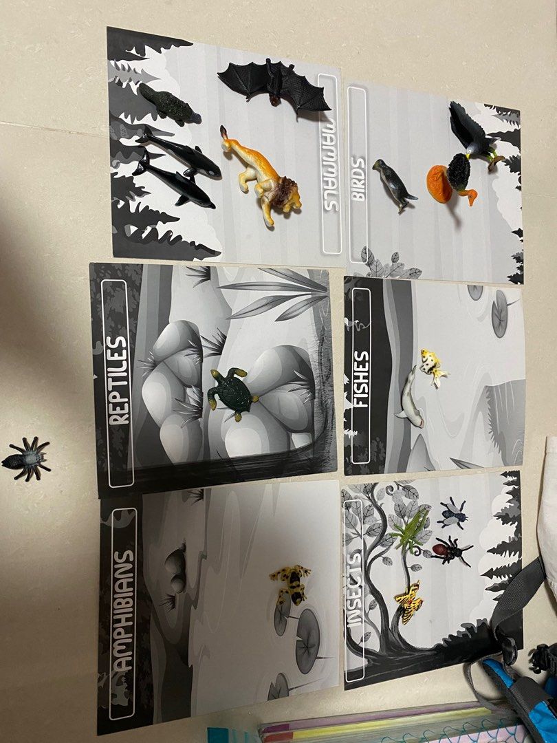 Animal classification primary 3 p3 science , Hobbies & Toys, Toys ...