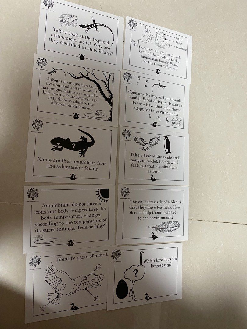 Animal classification primary 3 p3 science , Hobbies & Toys, Toys ...