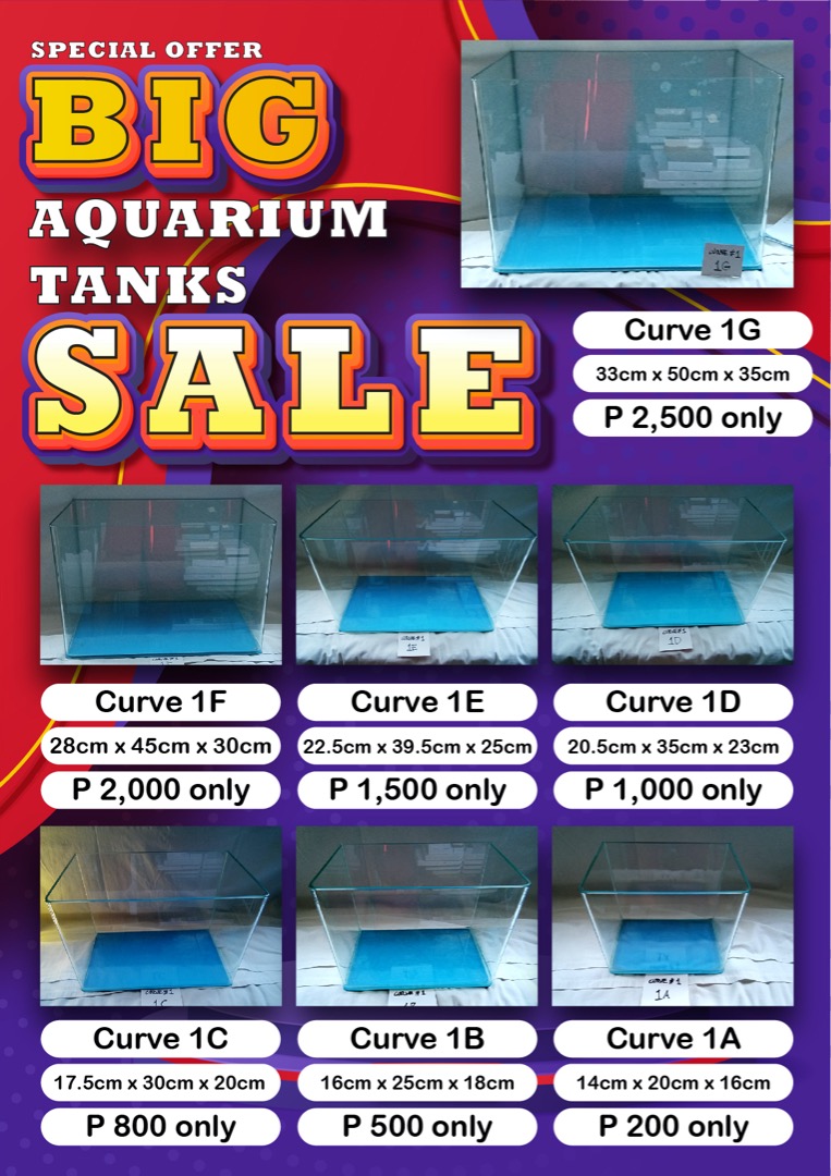 Aquariums - Imported/Curve Tanks/ Tempered Glass, Pet Supplies, Homes ...