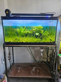 Resun 38Litres Aquarium Fish Tank Complete with Led Light, Filter and ...