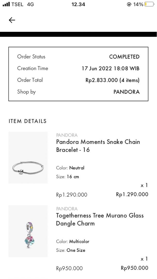 Pandora Charms (READ THE DESCRIPTIONS!), Fesyen Wanita, Perhiasan di ...