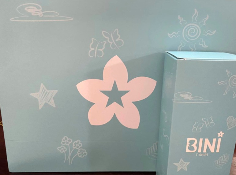 Bini Merch T-shirt & Stickers, Women's Fashion, Tops, Shirts on Carousell