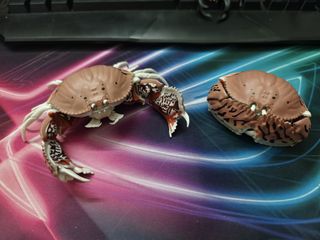 Original Bandai Dango mushi mini isopod pill bug gashapon, Hobbies ...