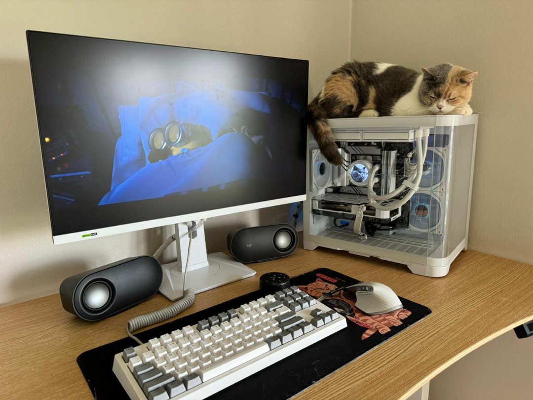 White pc set i5 14th gen rtx4060 asus dual, Computers & Tech, Desktops ...