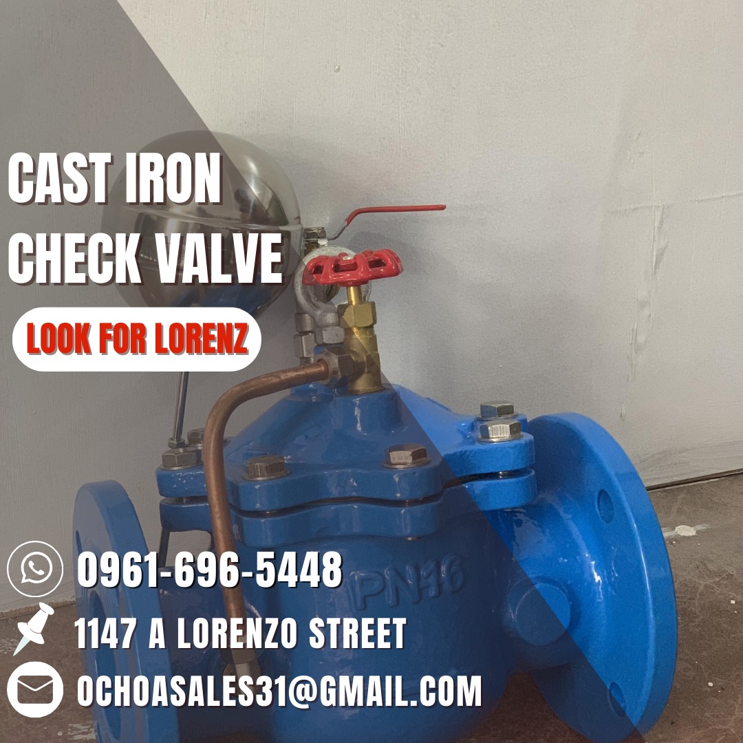 CAST IRON CHECK VALVE, Commercial & Industrial, Construction & Building ...