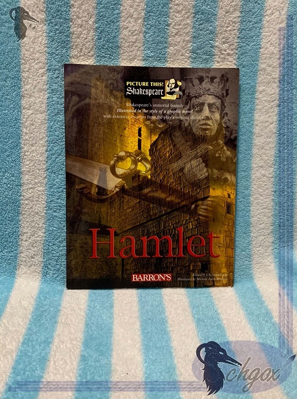 Picture This! Shakespeare : Hamlet | Graphic Novel with extensive ...