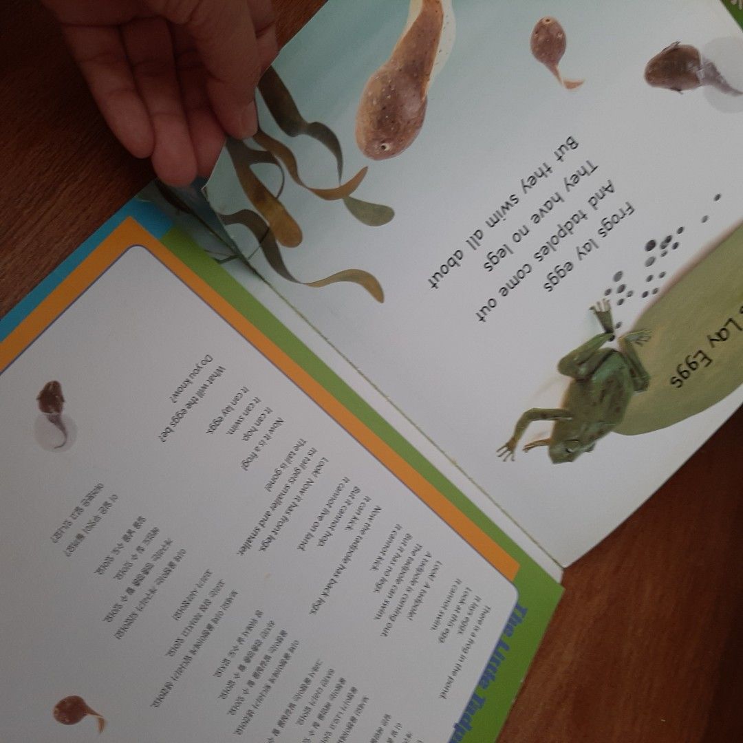 The little tadpole, Buku & Alat Tulis, Buku Anak-Anak di Carousell