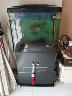 Brand new fish tank with cabinet sump, Pet Supplies, Homes & Other Pet ...