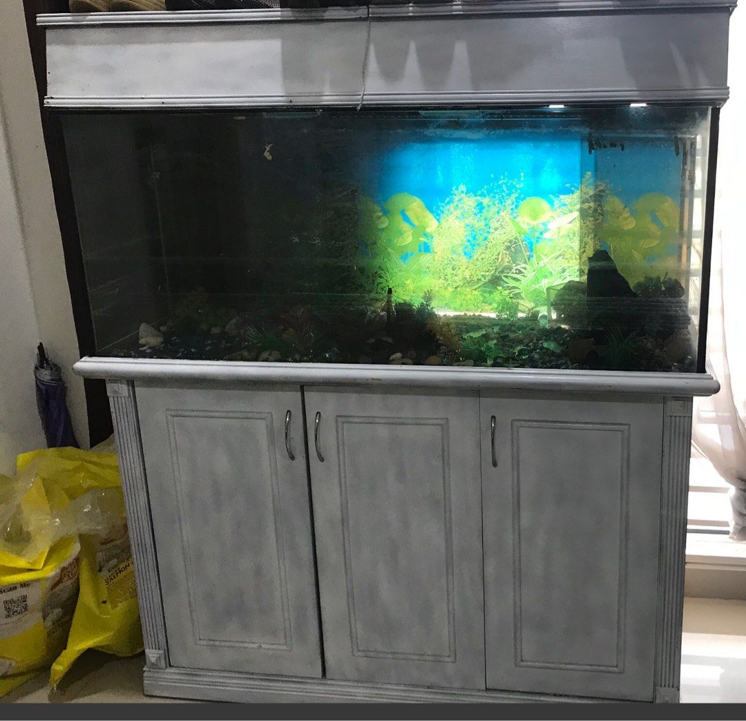 Aquarium 4 feet wirh sub tank and free cabinet table, Pet Supplies ...