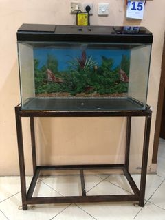 Akuarium Aquarium 50x50x50 Kaca Tebal, Perlengkapan Hewan, Aksesoris ...
