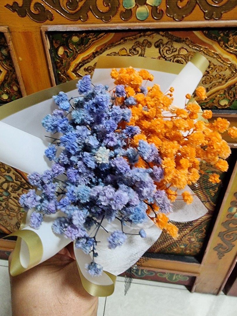 Baby Breath Bouquet Small Size Long Lasting Baby breath Flower Small ...
