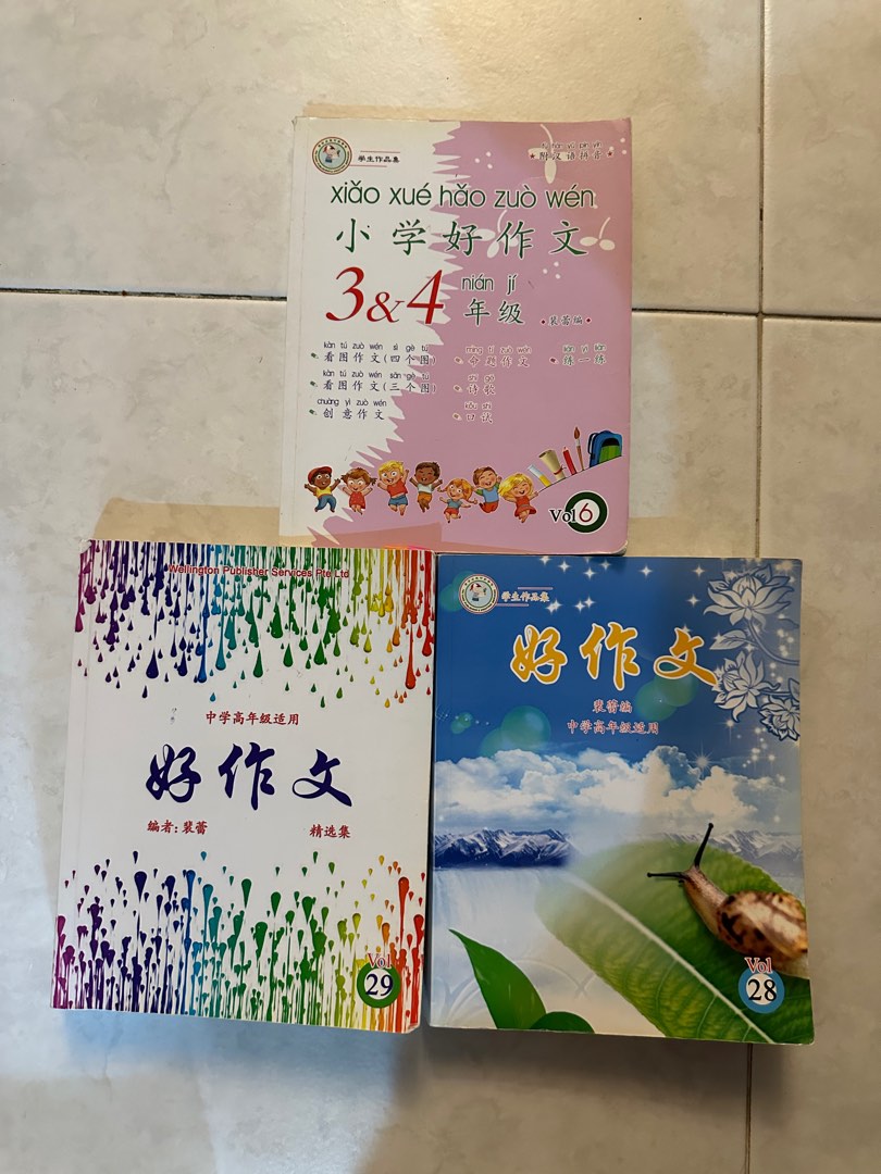 Chinese model composition, Hobbies & Toys, Books & Magazines ...