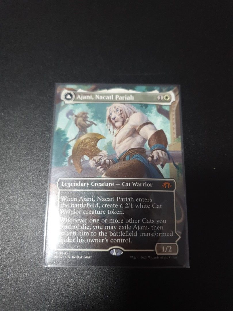 Ajani, Nacatl Pariah M Borderless - MTG Modern Horizons 3 Variant ...