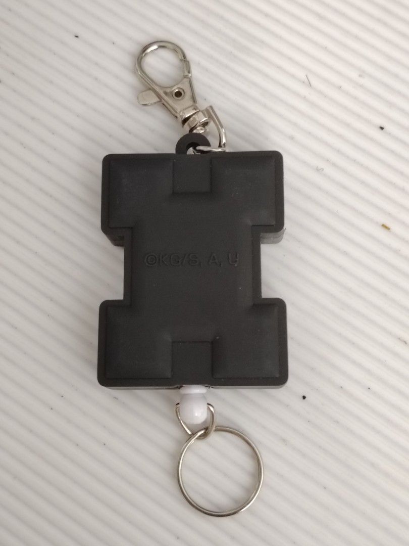 Demon Slayer Rubber Key Reel Muichiro Tokitou, Hobbies & Toys ...