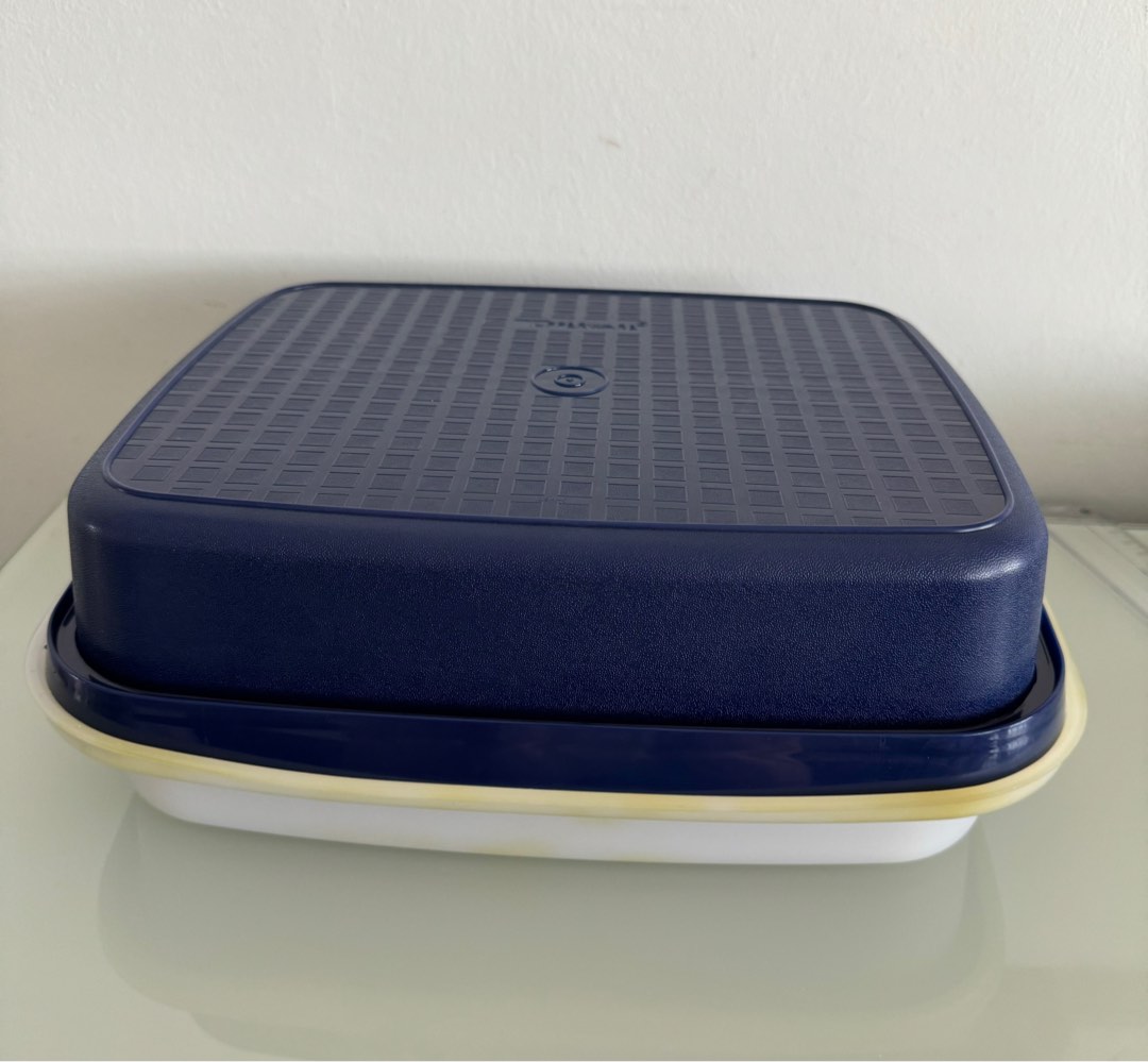 Tupperware season serve ( marinating container ), Furniture & Home ...