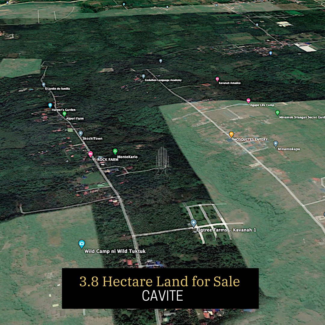 3.8 Hectare Land for Sale in Amadeo, Cavite, Property, For Sale, Lot on ...