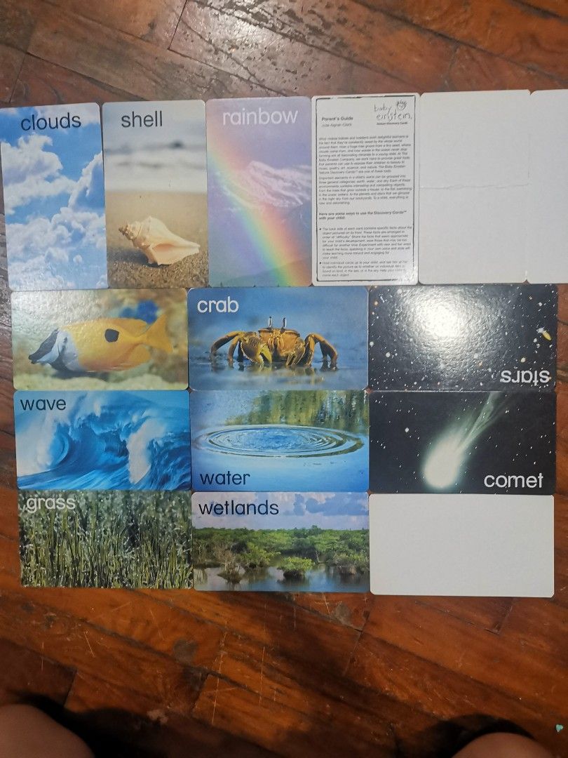 Baby einstein Nature discovery cards, Hobbies & Toys, Books & Magazines ...
