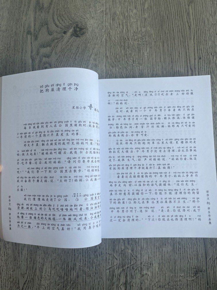 Primary 5 & 6 Chinese Model Compositions with pinyin （拼音）, Hobbies ...