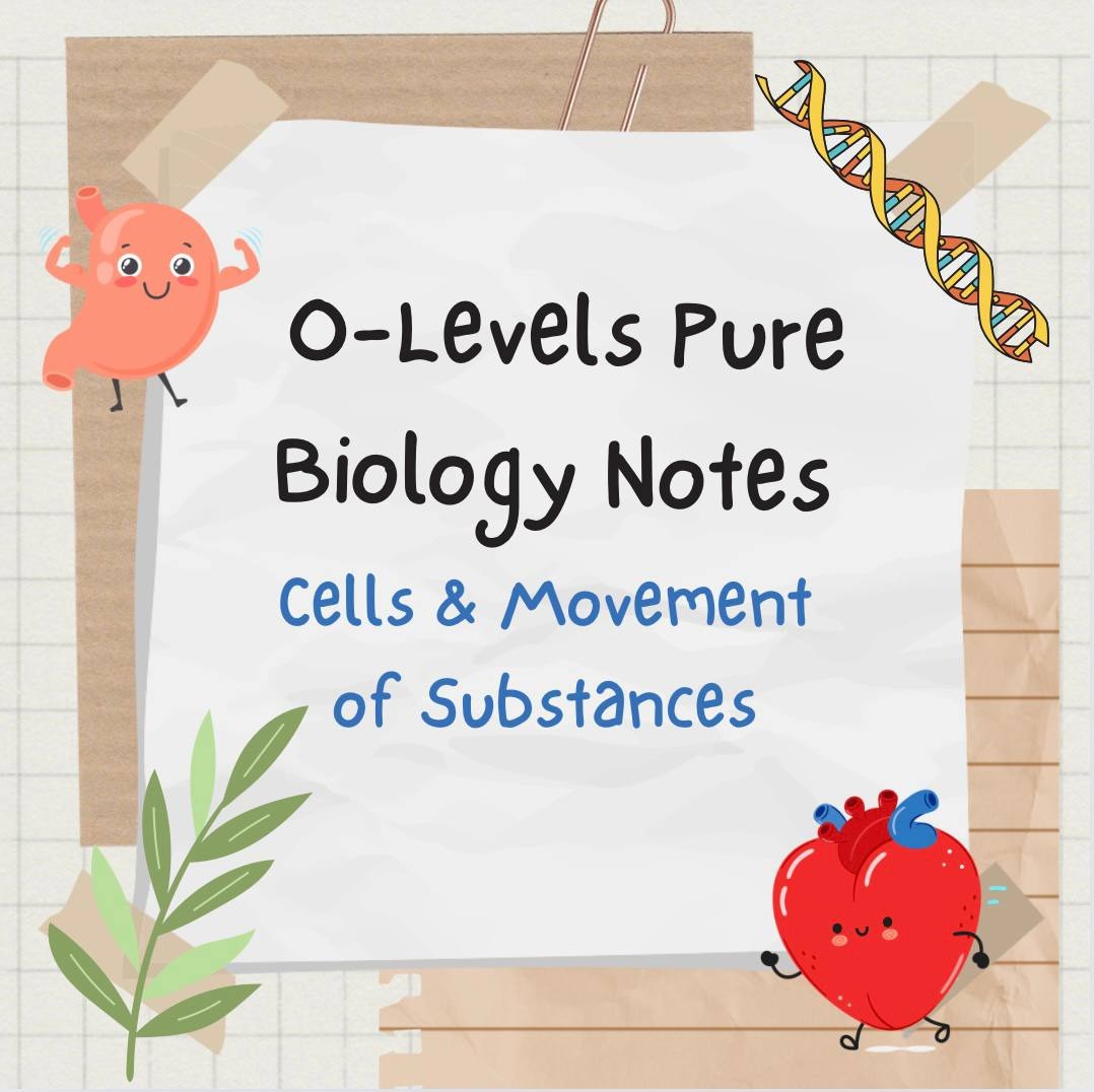PURE BIOLOGY | Sec 3/4 Pure Biology Notes for O Level Distinction ...