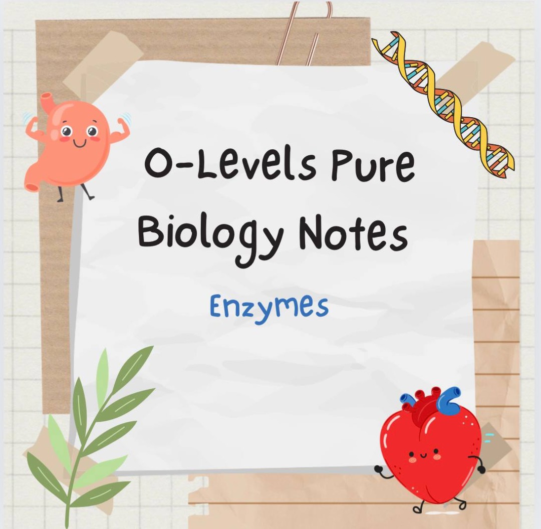 PURE BIOLOGY | Sec 3/4 Pure Biology Notes for O Level Distinction ...