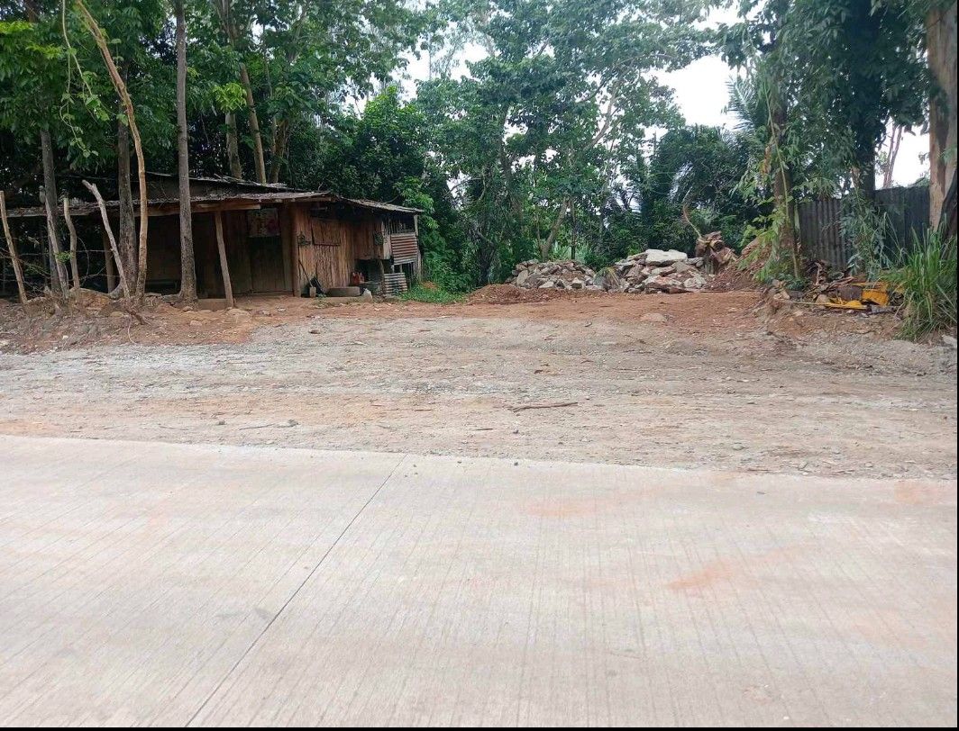 Hermosa Bataan Farm Land, Property, For Sale, Lot on Carousell