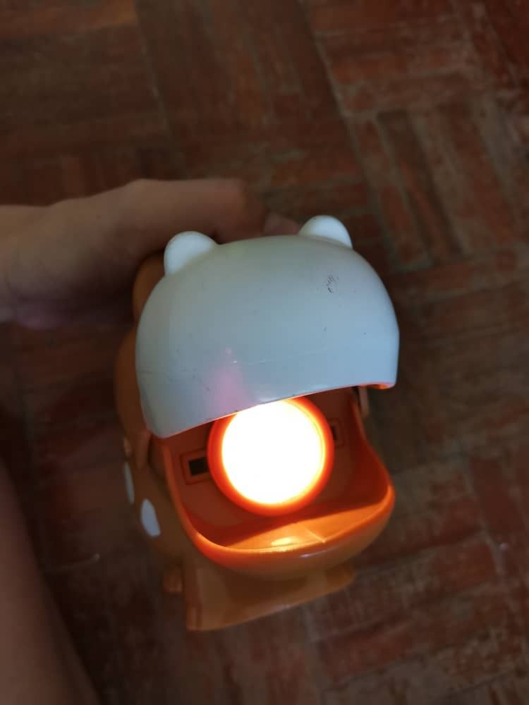 Little Tikes Animal Flashlight, Hobbies & Toys, Toys & Games on Carousell