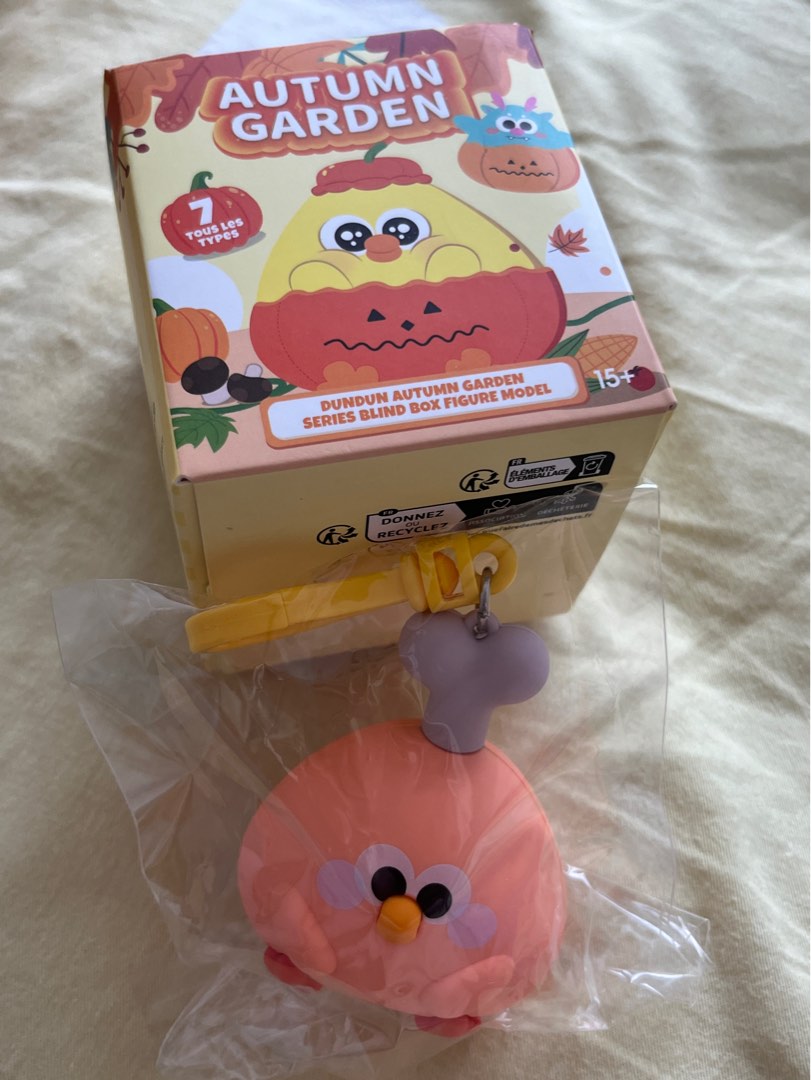 Miniso chicken blindbox, Hobbies & Toys, Memorabilia & Collectibles ...