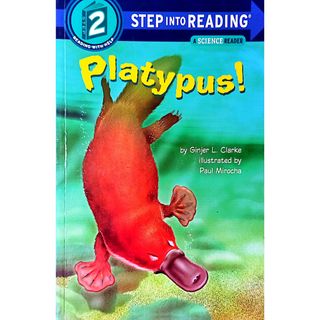 The Teeny Tiny Woman| Step Into Reading 2 | By Jane O'Connor ...