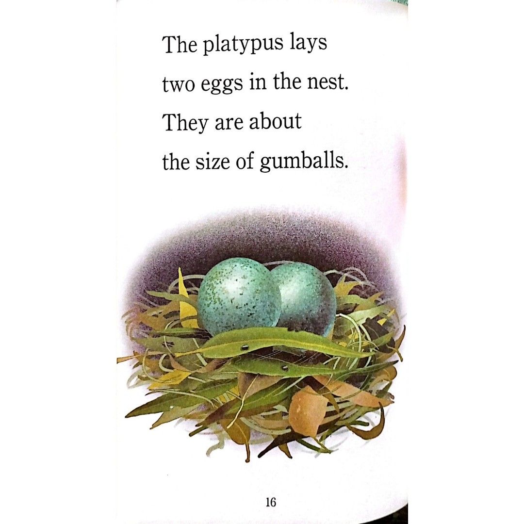 Platypus!| Step Into Reading 2 (A Science Reader)| By Ginjer L. Clarke ...