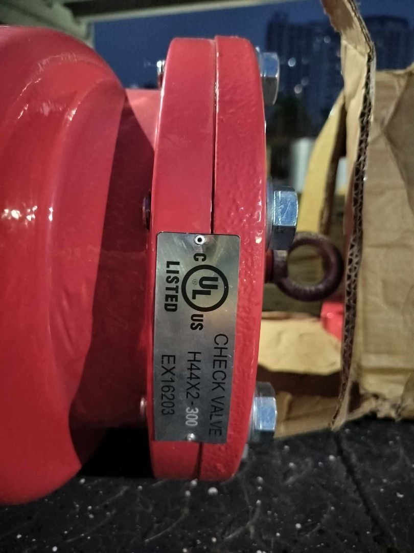 SWING CHECK VALVE, UL/FM listed, Commercial & Industrial, Construction ...