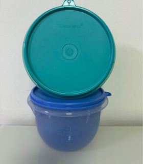 Original Large Tupperware Container, Furniture & Home Living ...