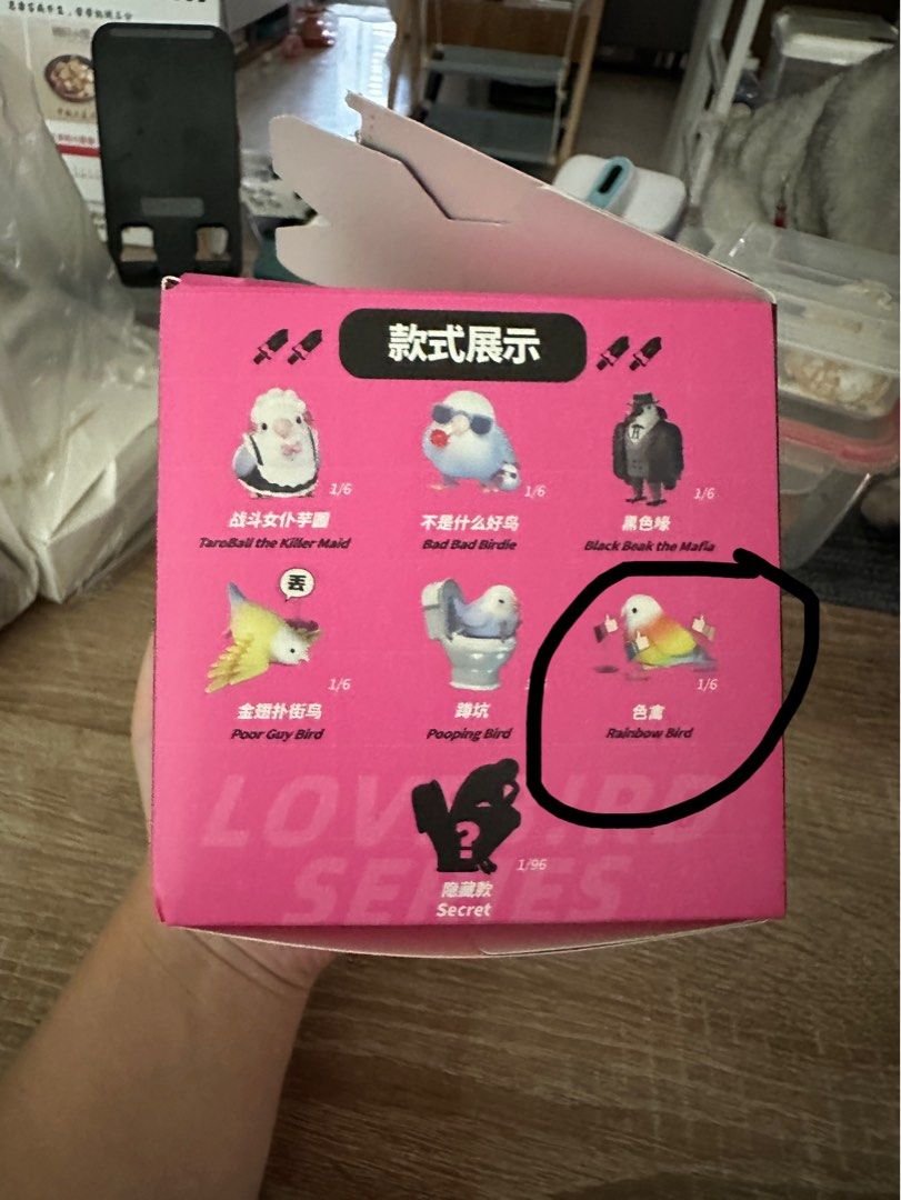 Bad Bad Birdie Series Blind Box - Rainbow bird, Hobbies & Toys, Toys ...