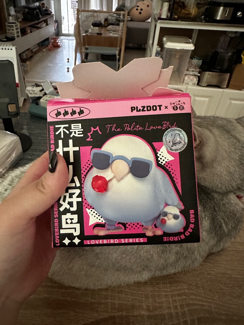 Bad Bad Birdie Series Blind Box - Rainbow bird, Hobbies & Toys, Toys ...