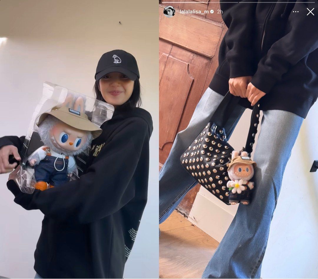 WTS Labubu Fall in Wild (even Lisa has it!!), Hobbies & Toys, Toys ...