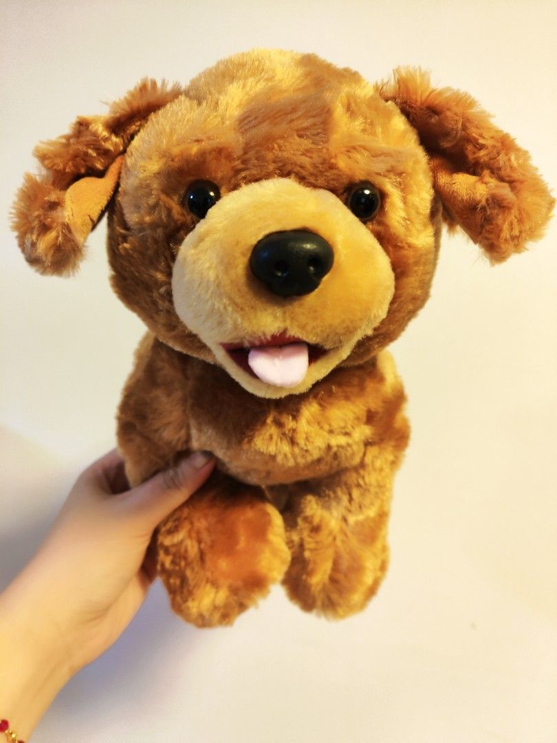 Bab Build A Bear Golden Retriever Puppy Dog Plushies Soft toy, Hobbies ...
