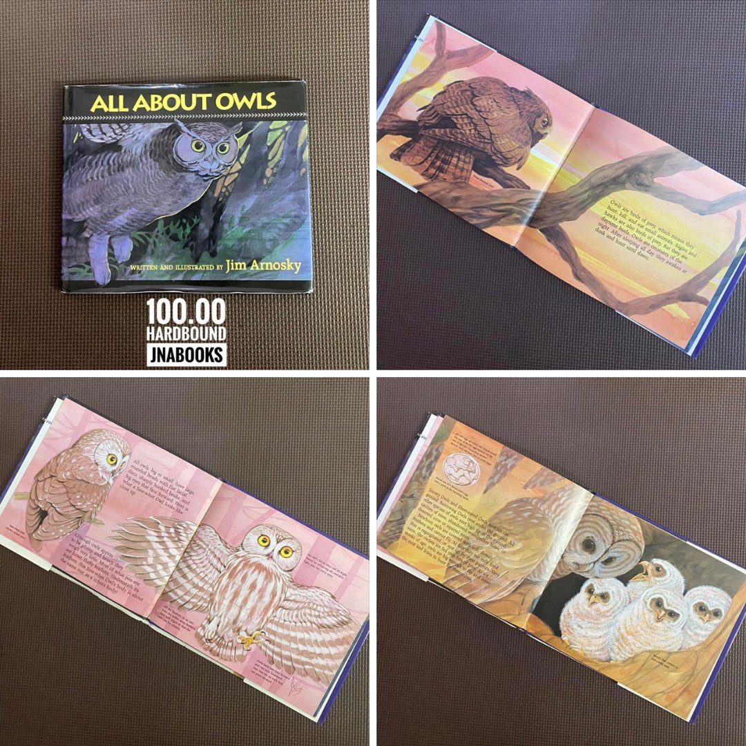 Jim Arnosky- All about Owls, Hobbies & Toys, Books & Magazines ...