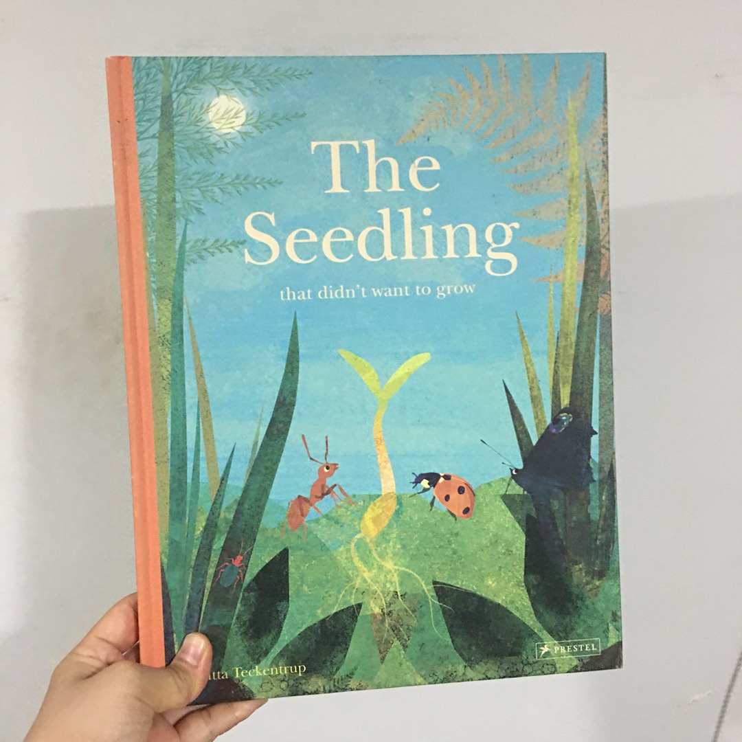 The Seedling that didn't grow by Britta Teckentrup, Hobbies & Toys ...