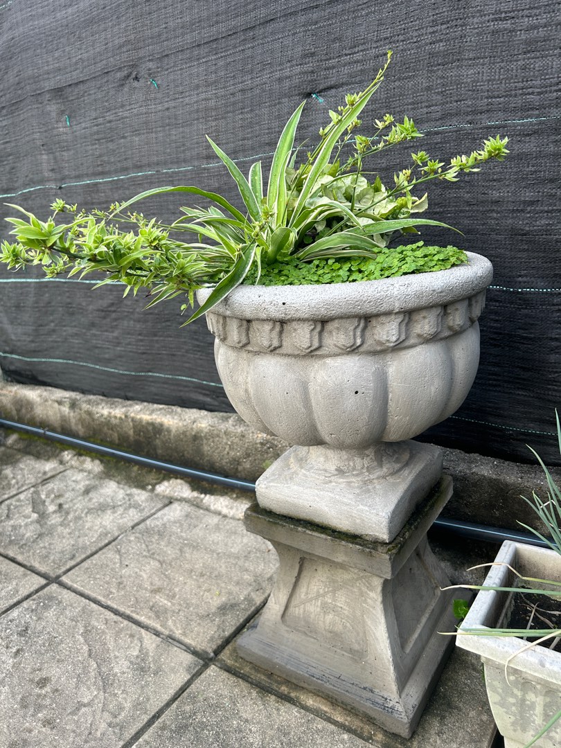 Cement Pot / Stand for Plants / Flowers, Furniture & Home Living ...