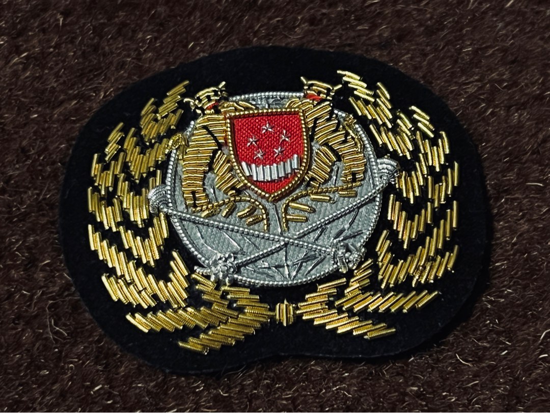 DIS GENERAL BERET CAP BADGE SAF BULLION , Hobbies & Toys, Memorabilia ...