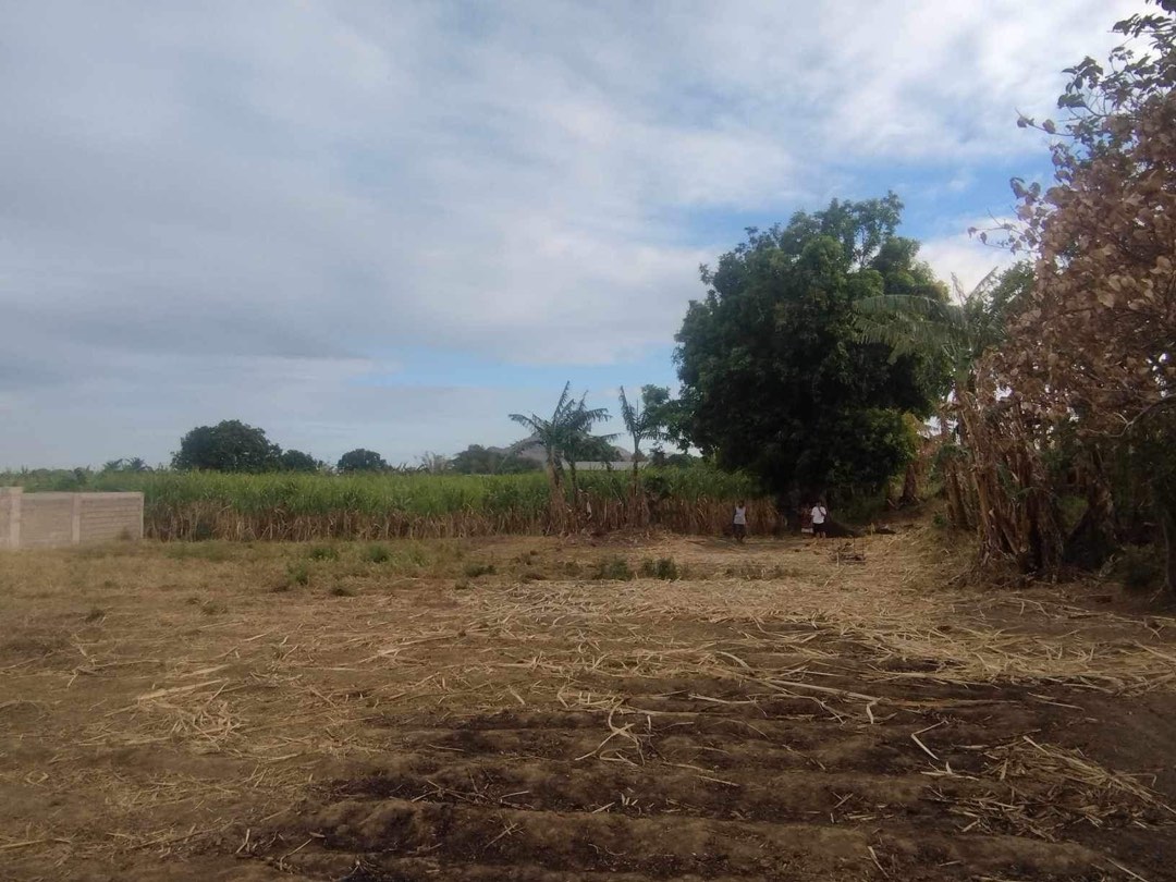 FARM LOT FOR SALE, Property, For Sale, Lot on Carousell