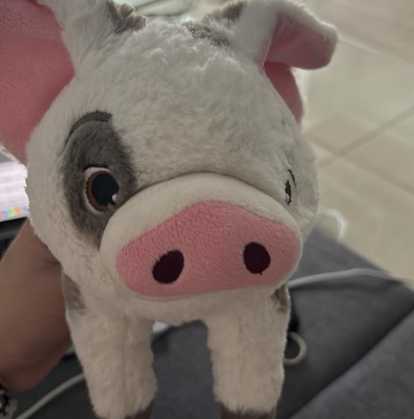 Pua Pig Moana Disney Store with Patch Plush Stuffed Toy, Hobbies & Toys ...