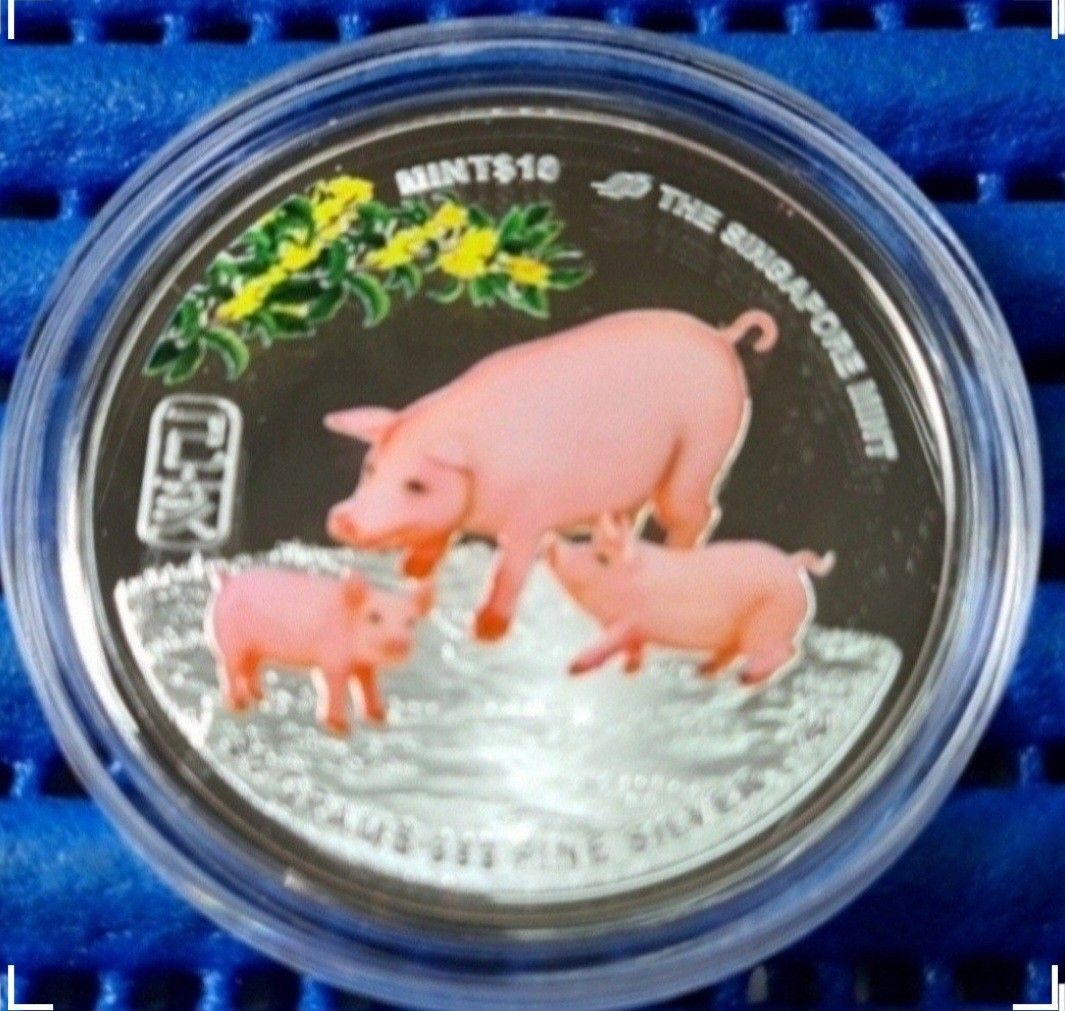 2019 Singapore Lunar Year of the Pig / Boar Silver Proof Colour ...