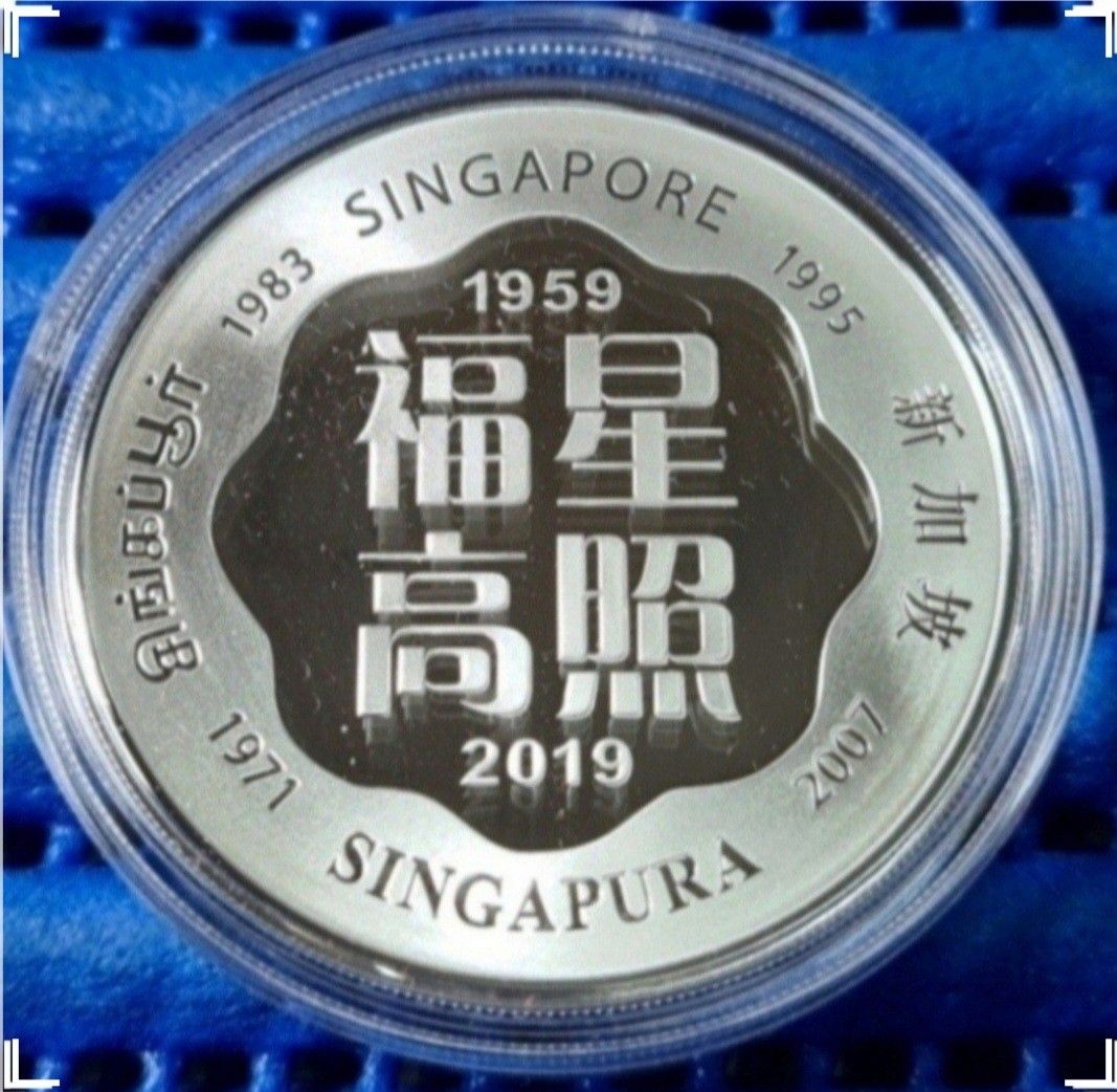 2019 Singapore Lunar Year of the Pig / Boar Silver Proof Colour ...