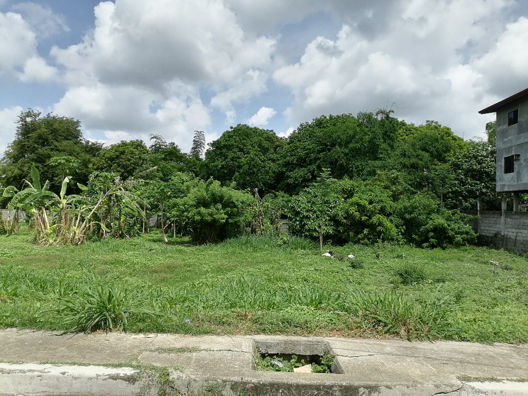 386-Sqm Residential Lot For Sale in Anabu Imus Cavite, Property, For ...
