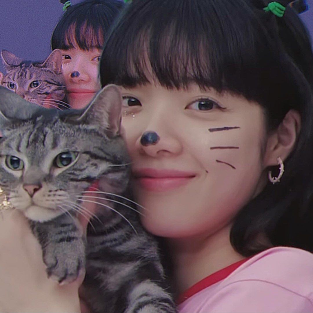 【更新！】Aimyon あいみょん 5th Album - AIMYON 5th Album 「猫にジェラシー オリ」, 興趣及遊戲, 收藏品 ...